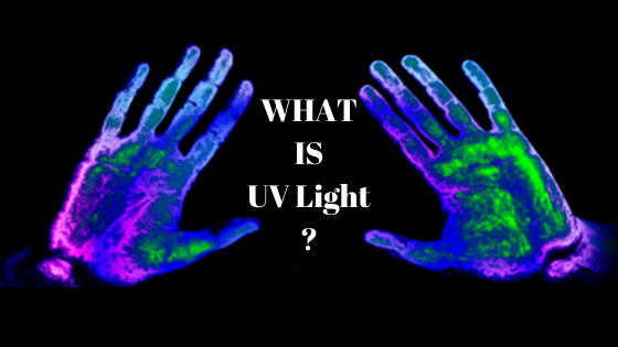 What_is_UV_light.png?v=1583479597